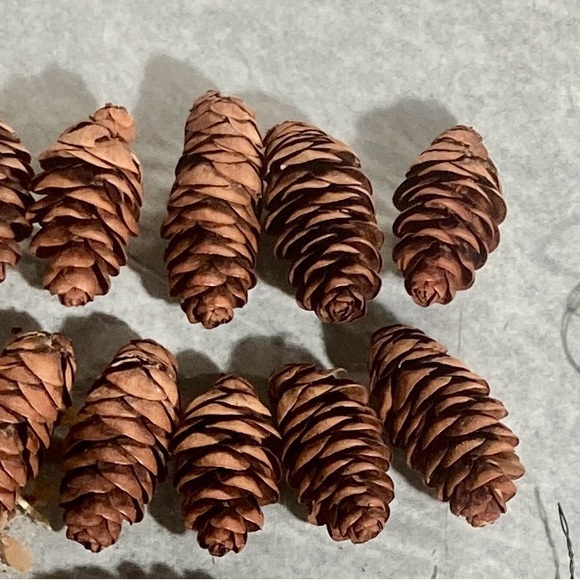 Holiday | Pinecones Miniature Decorating Set | Poshmark